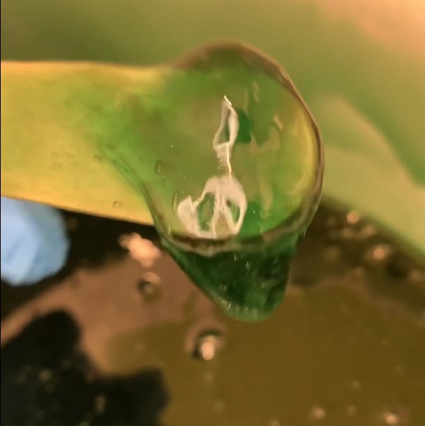 Home - Elastic Wax & Laser Center